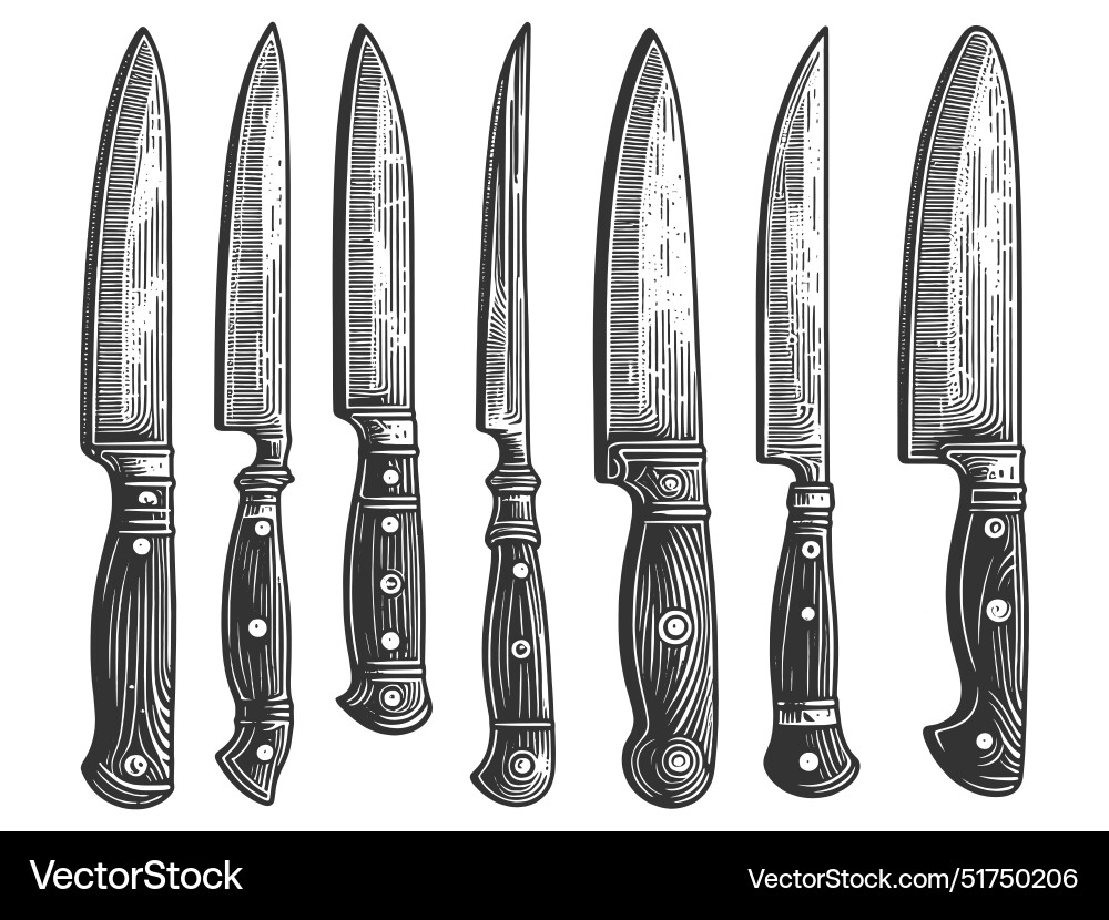 Set of chef knives engraving Royalty Free Vector Image