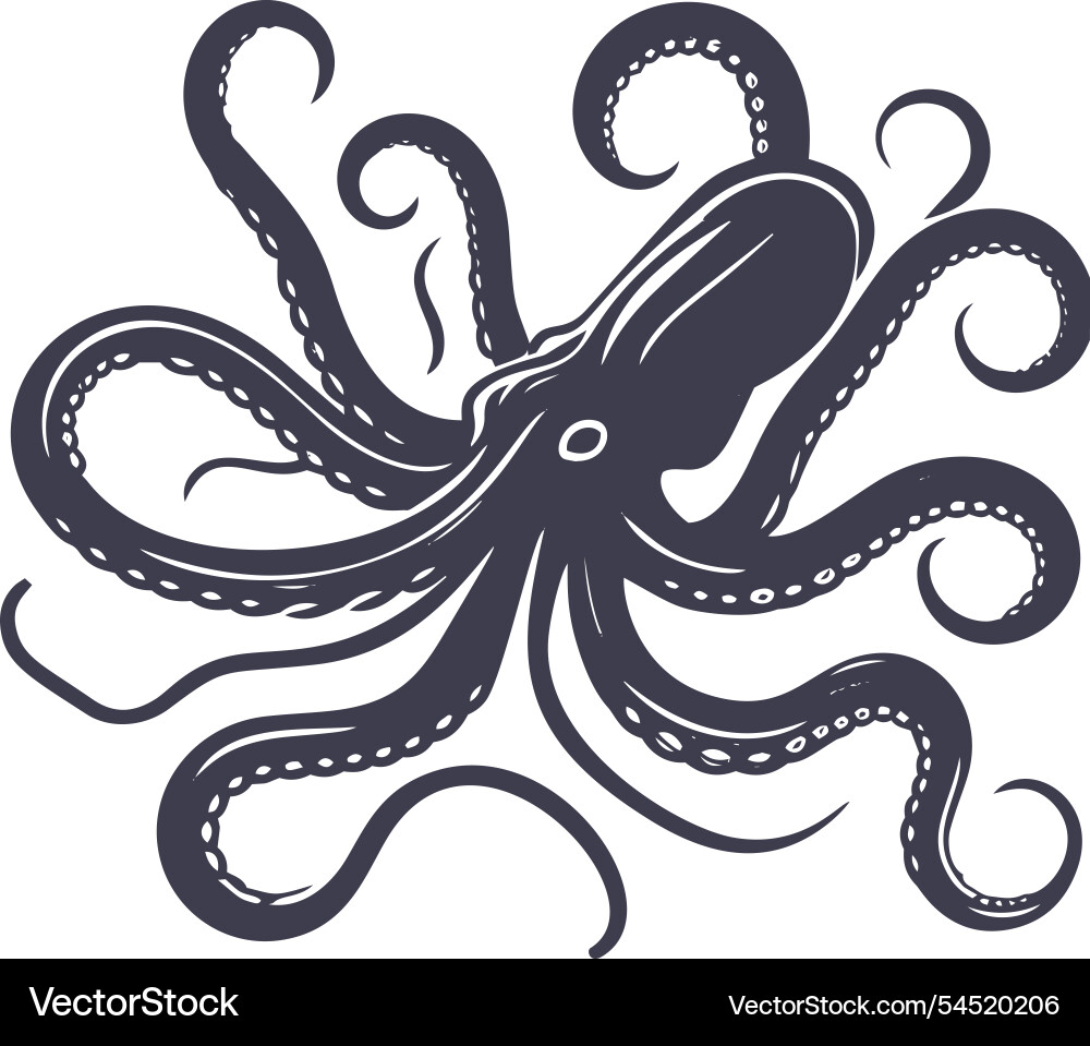 Stylized octopus 1 Royalty Free Vector Image - VectorStock