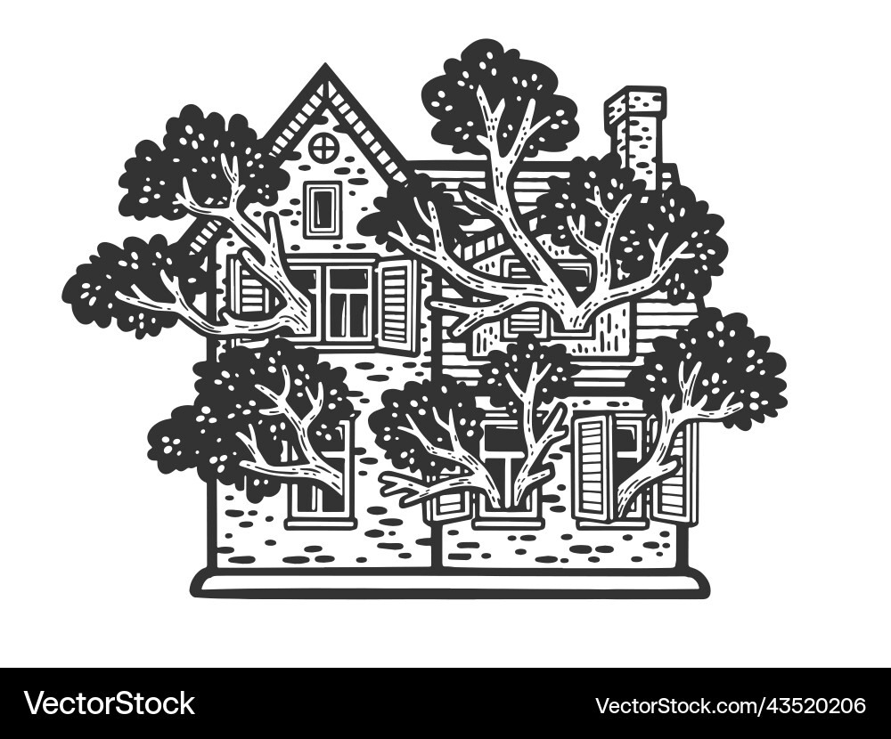 Tree grows inside house sketch Royalty Free Vector Image