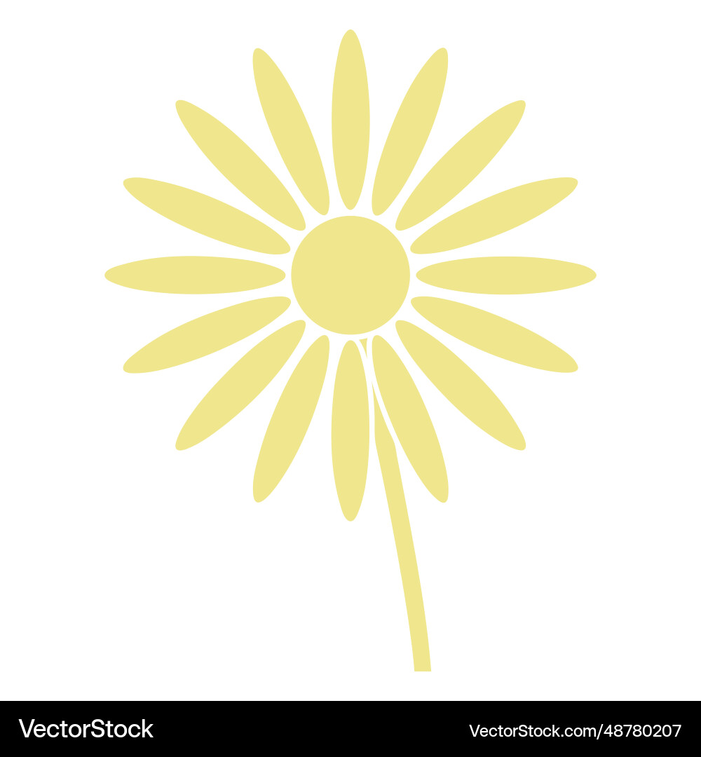 Daisy flower simple design flat Royalty Free Vector Image