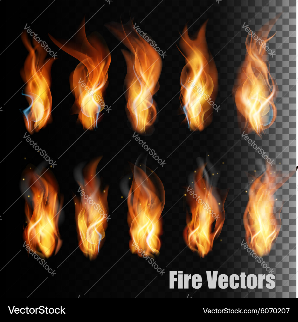 Fire on transparent background Royalty Free Vector Image