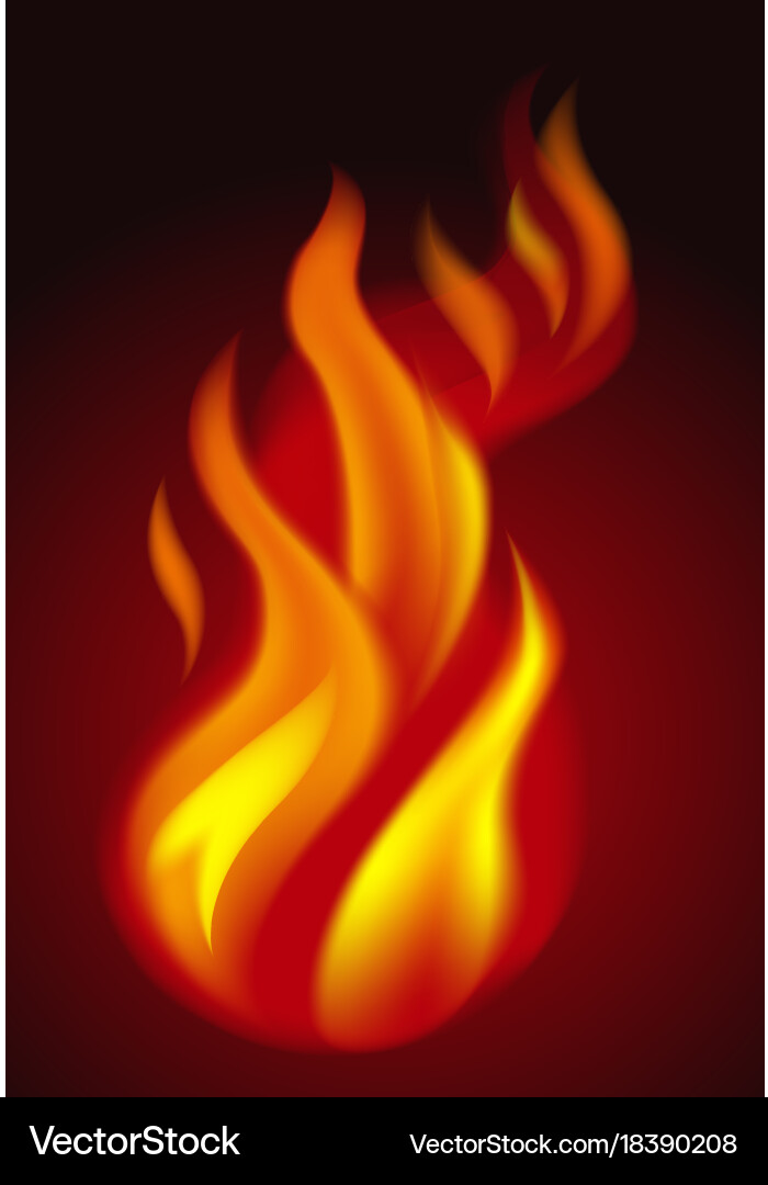 Small fire on dark background Royalty Free Vector Image