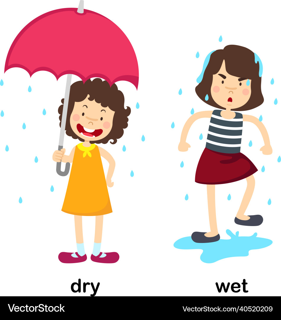 Wet And Dry Opposites Signs Dry Wet Pointing Opposite Directions Stock