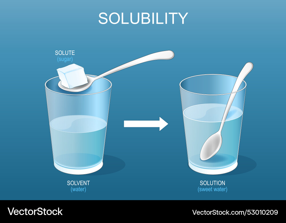 Solubility solutions experiment with sugar Vector Image