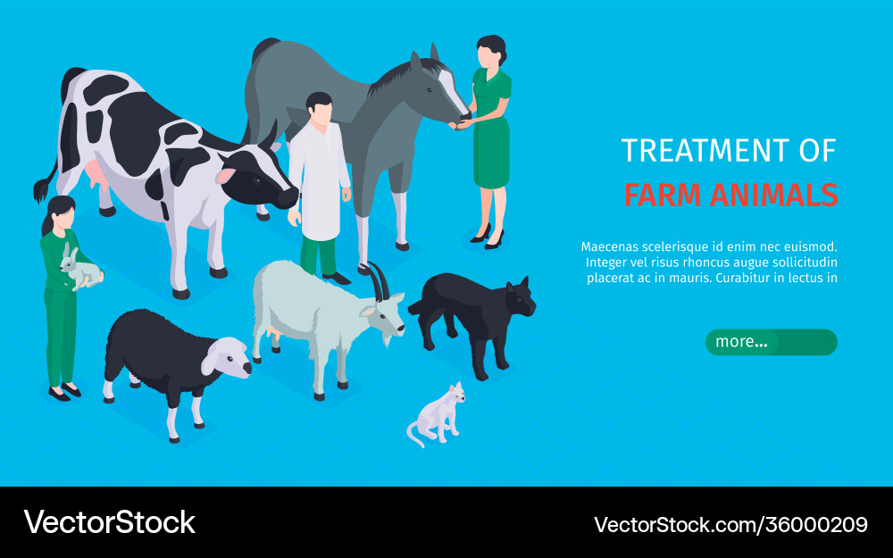 Veterinary horizontal banner Royalty Free Vector Image
