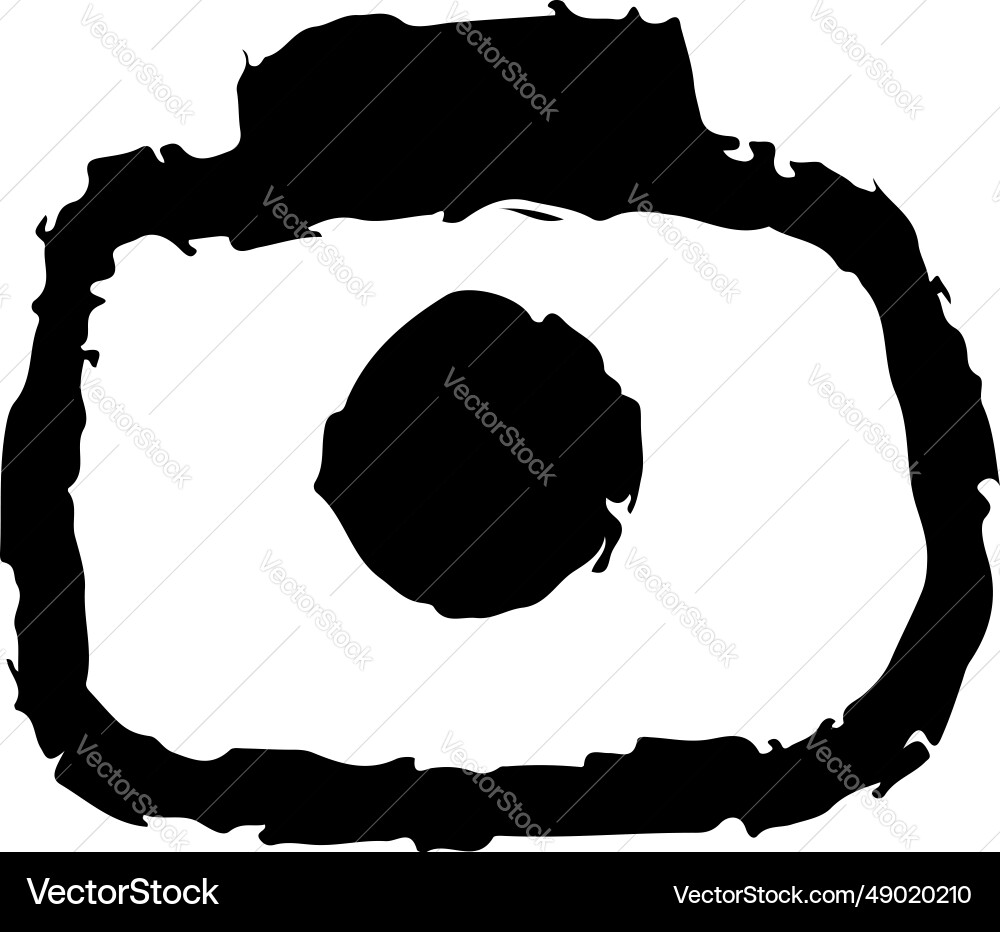 Camera Royalty Free Vector Image - VectorStock