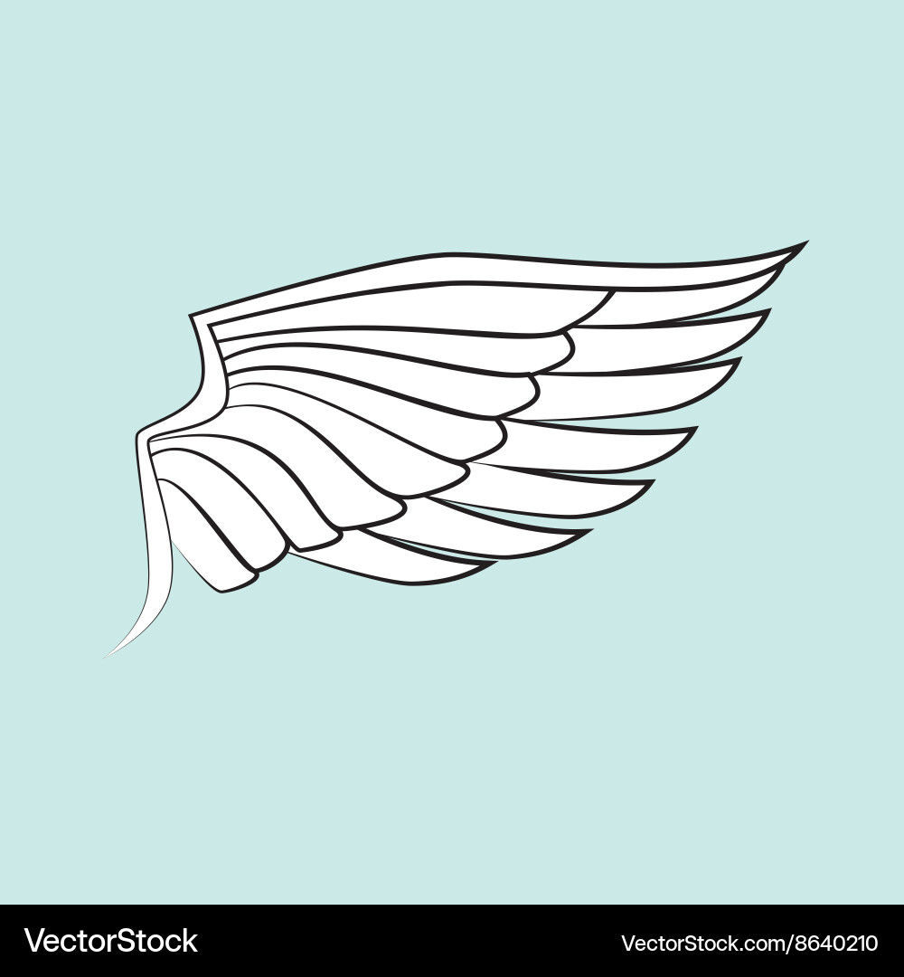 Elegant Wing Symbol Royalty Free Vector Image - VectorStock