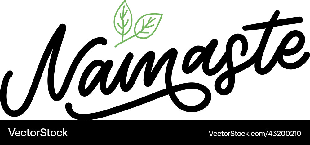 Hand drawn namaste lettering indian greeting Vector Image