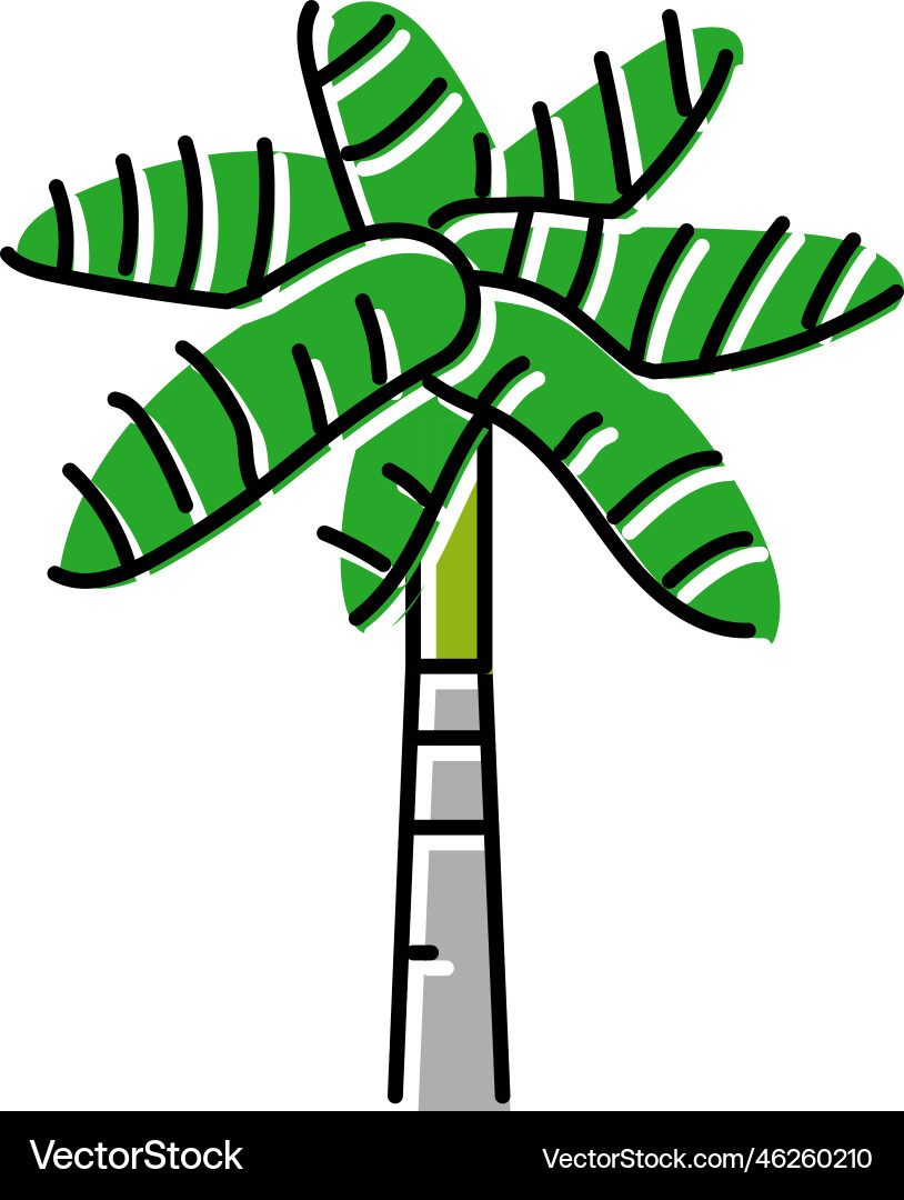 Royal palm tree color icon Royalty Free Vector Image Royal palm tree color icon Royalty Free Vector Image