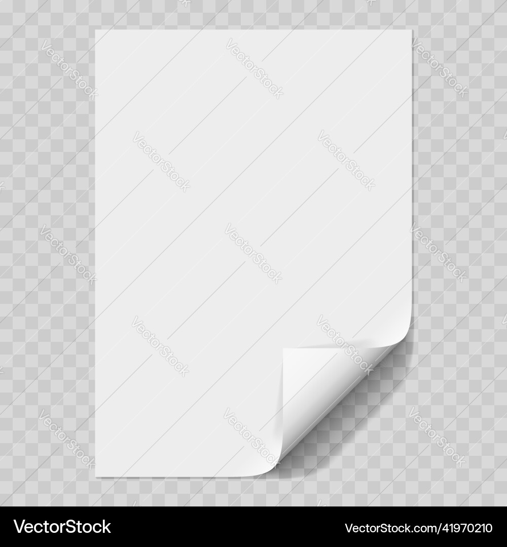 White realistic paper page mockup with Royalty Free Vector