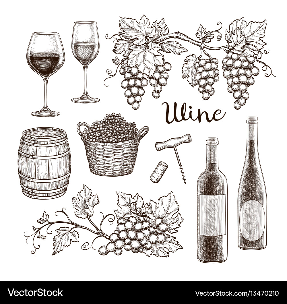 Wine set isolated on white background Royalty Free Vector