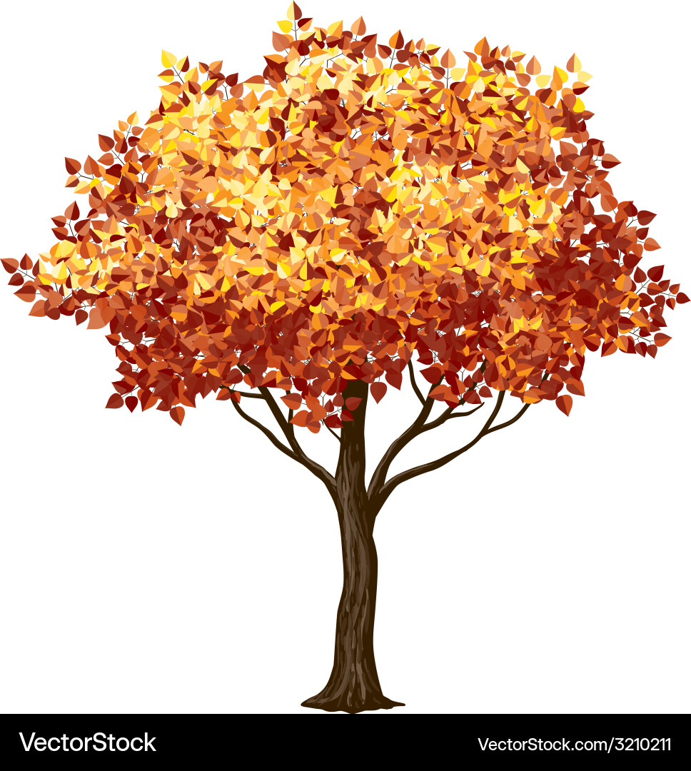 Autumn Tree Silhouette Royalty Free Vector Image