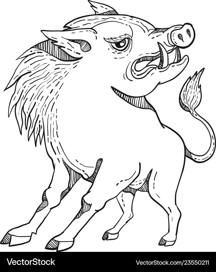 Razorback doodle art black and white Royalty Free Vector