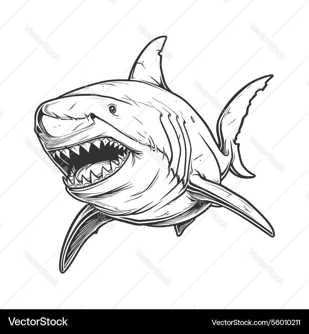 Shark clip art design Royalty Free Vector Image