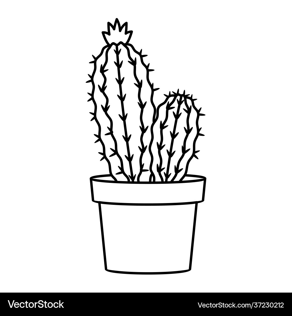 Cactus and succulent line style Royalty Free Vector Image