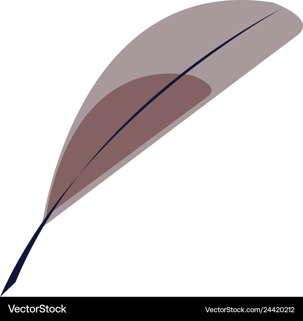 Feather flat on white Royalty Free Vector Image