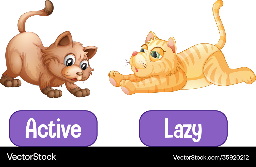 Opposite words with active and lazy Royalty Free Vector
