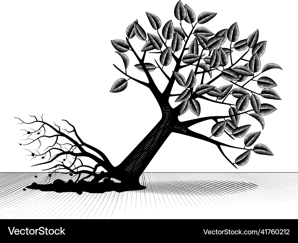 Uprooted and fallen tree with foliage Royalty Free Vector