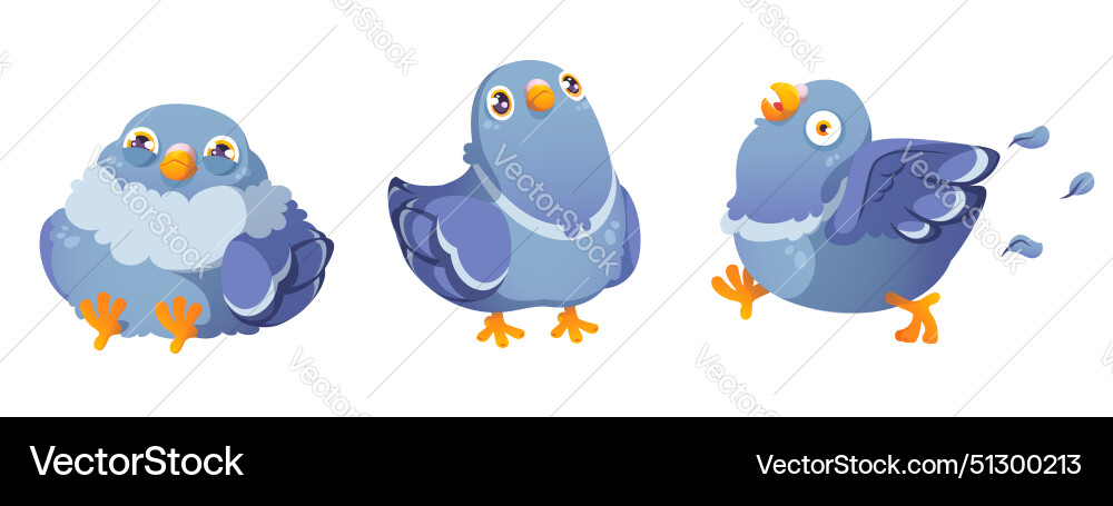 Comic pigeon characters set Royalty Free Vector Image