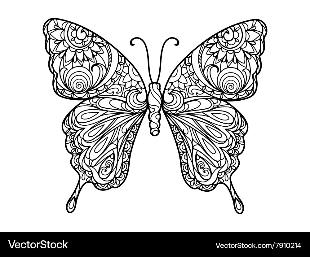Butterfly Zentangle Coloring Page Royalty Free Vector Image