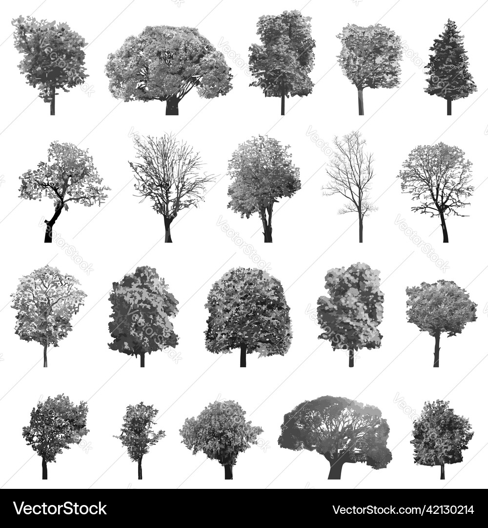 High detailed trees collection Royalty Free Vector Image