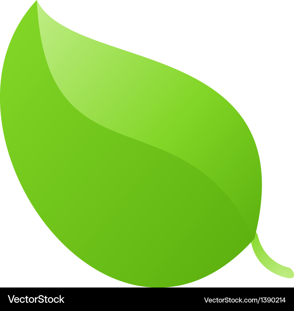 Icon leaf Royalty Free Vector Image - VectorStock