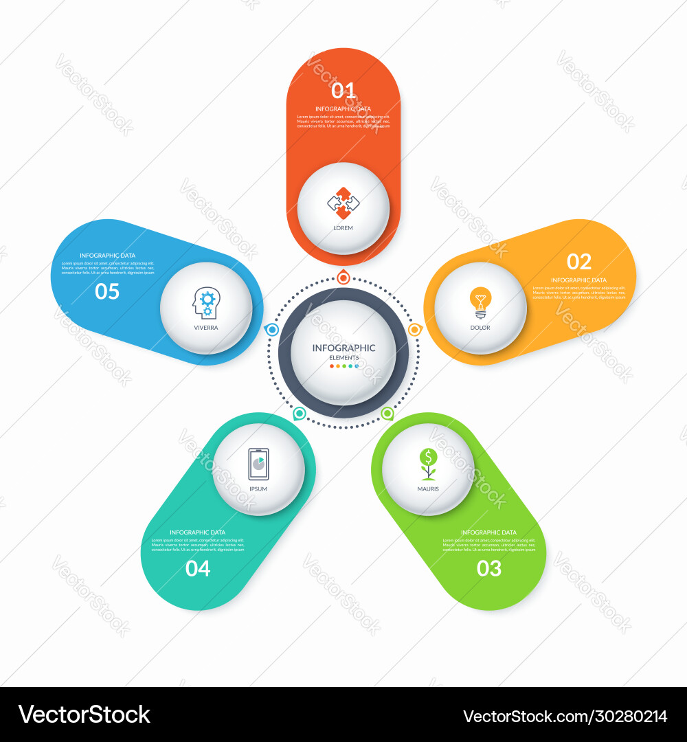 Infographic diagram with 5 options Royalty Free Vector Image