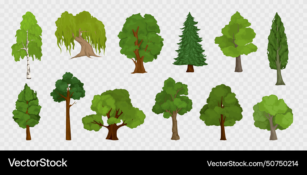 Tree transparent icons collection Royalty Free Vector Image