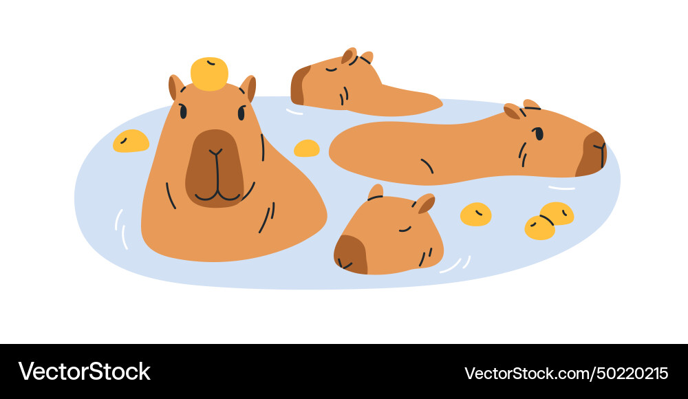 Cute capybaras bathing happy funny capy Royalty Free Vector