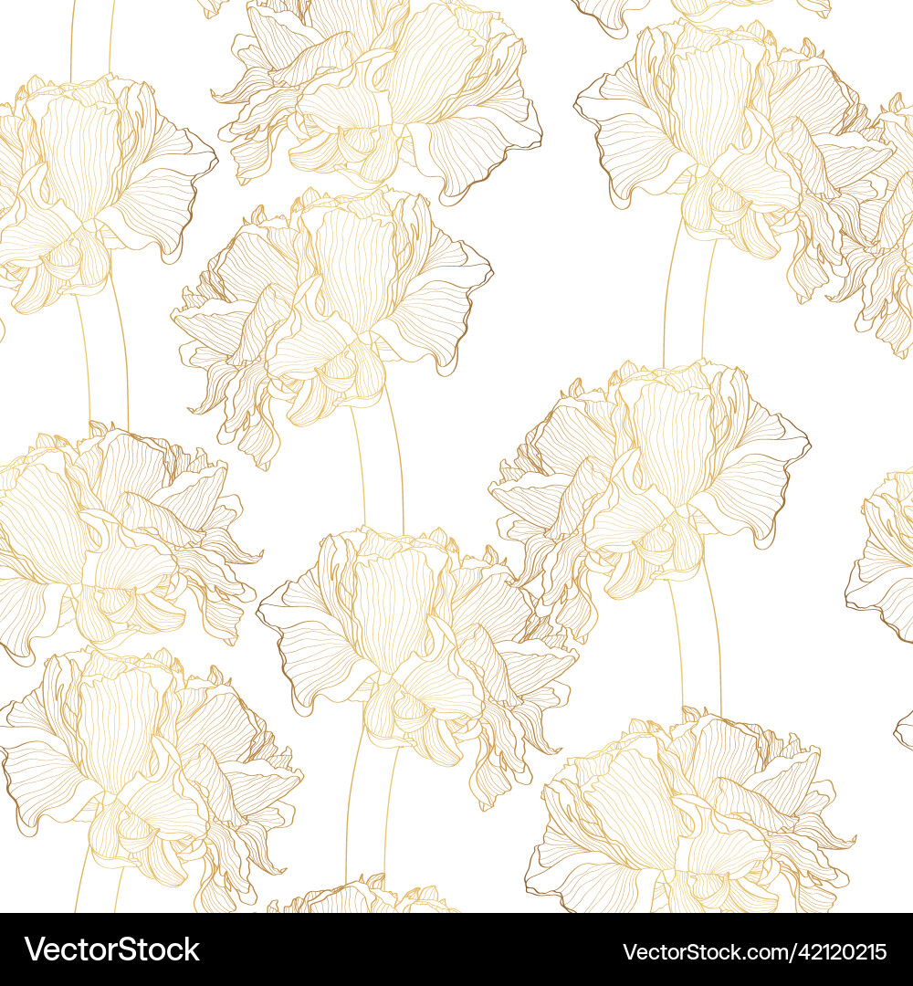 Seamless pattern with line golden ranunculus Vector Image
