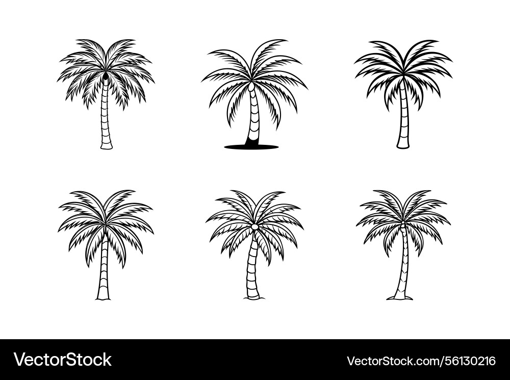 Palm tree line icon set black design Royalty Free Vector