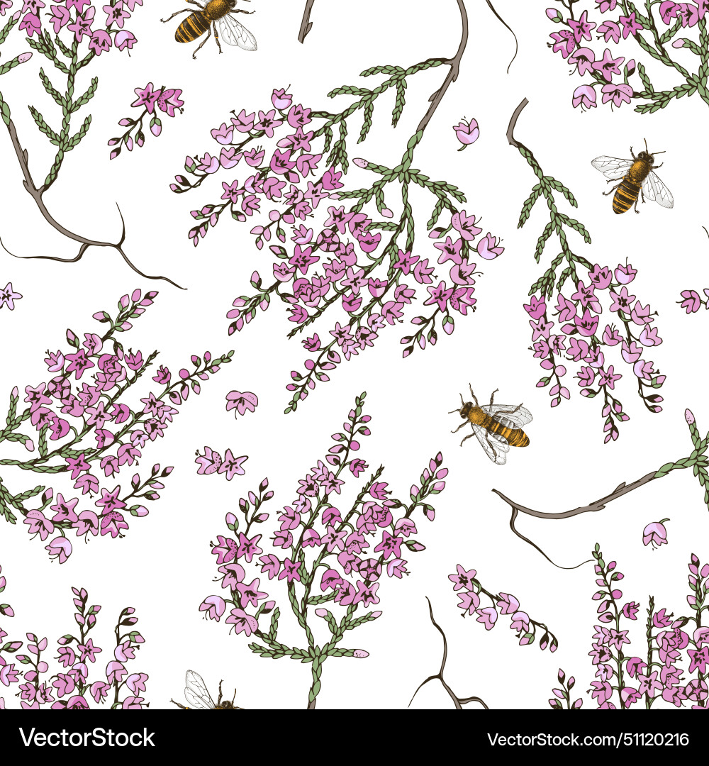 Seamless pattern with blooming heather and bees Vector Image