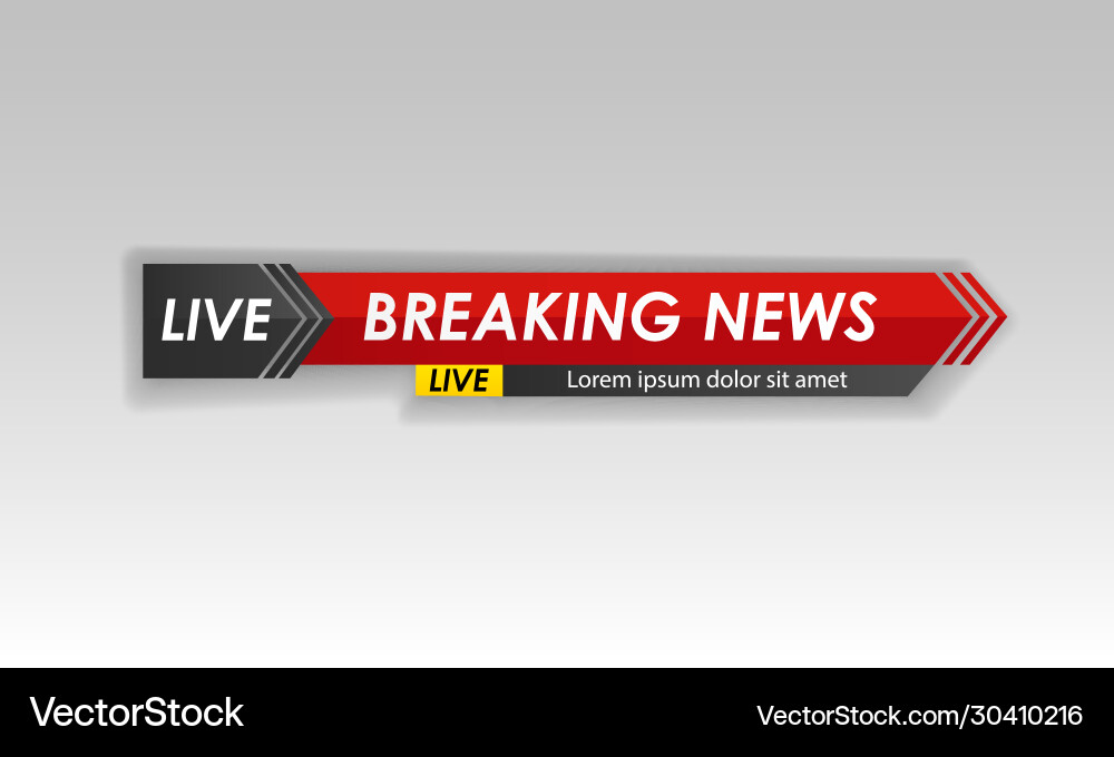 Tv news bar Royalty Free Vector Image - VectorStock