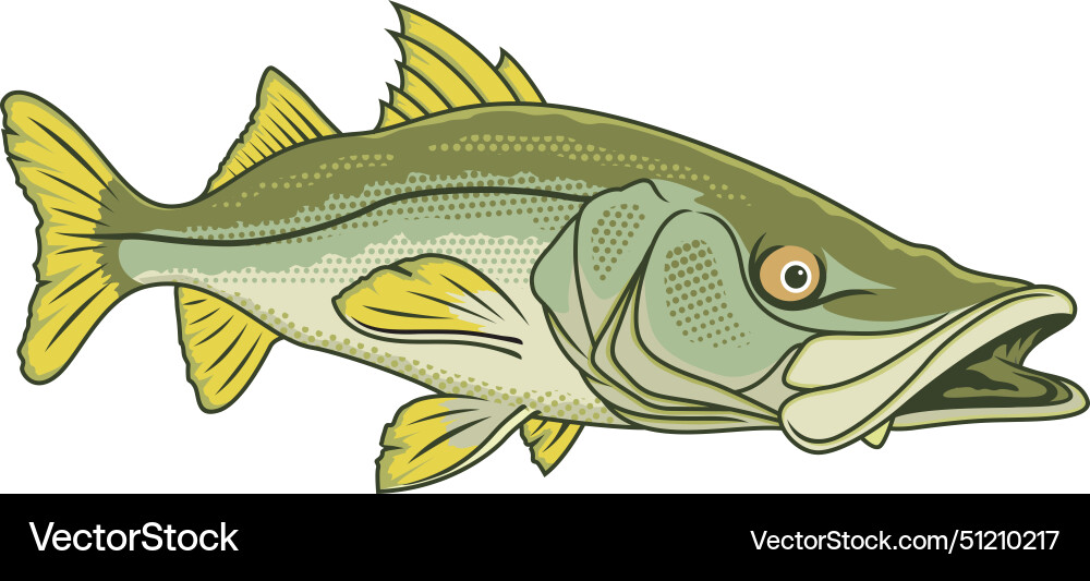 Snook fishing logo image t shi Royalty Free Vector Image