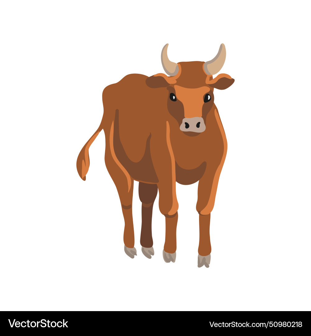 Drawing brown cow Royalty Free Vector Image - VectorStock