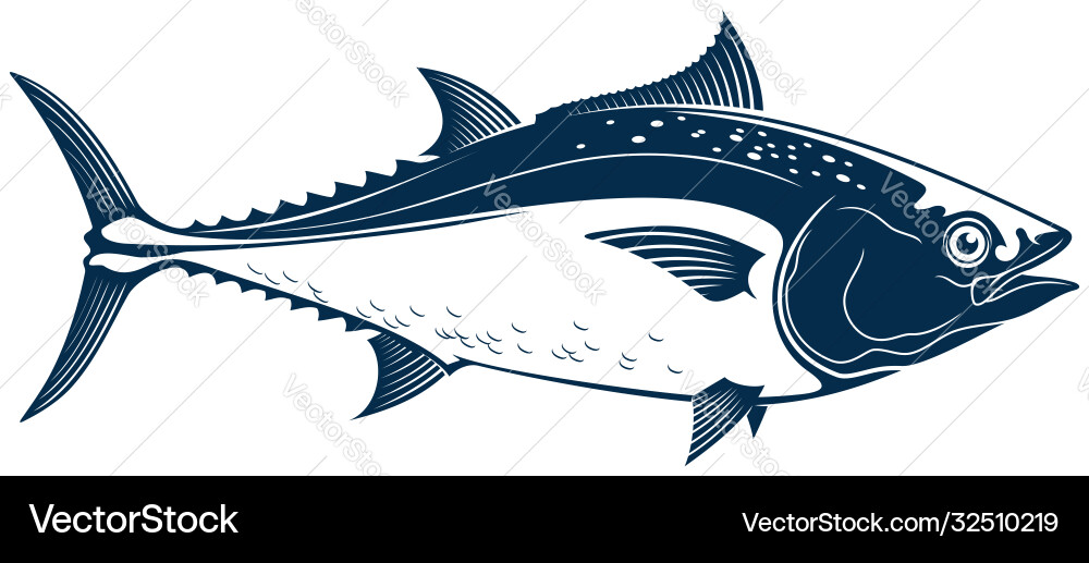 Bluefin Tuna - Predator Fish Royalty Free Vector Image