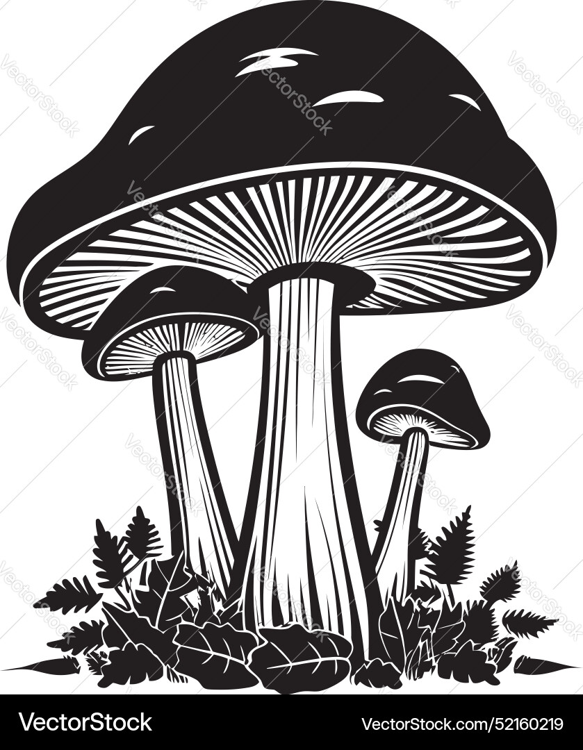Mycelium marvel mushroom emblem in spore symmetry Vector Image