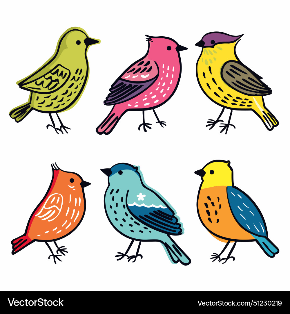 Six colorful cartoon birds simple line art Vector Image