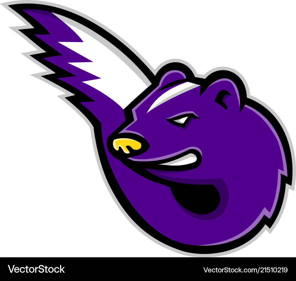 Striped Skunk Mascot Icon Royalty Free Vector Image