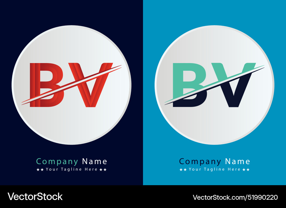 Bv letter logo template design Royalty Free Vector Image