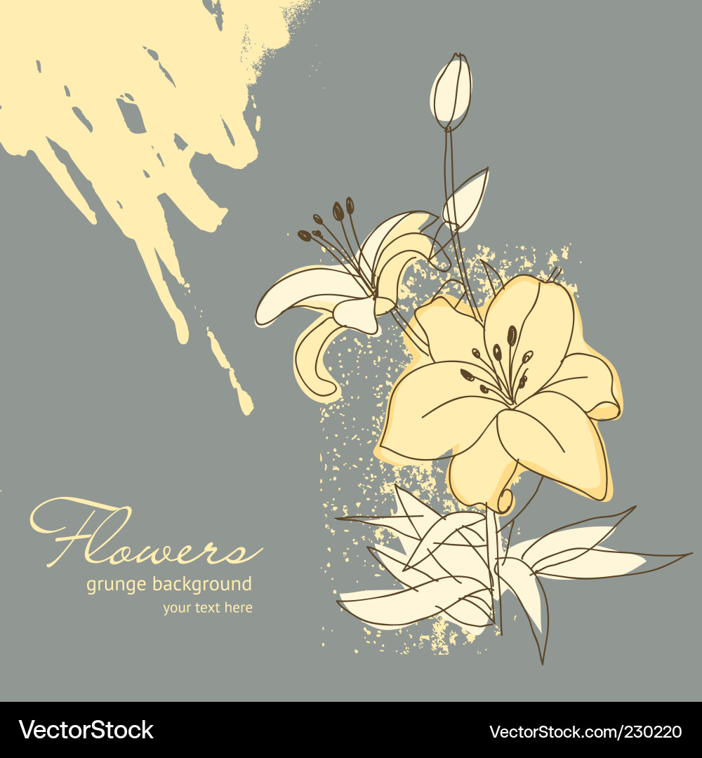 Flowers for your greeting card Royalty Free Vector Image