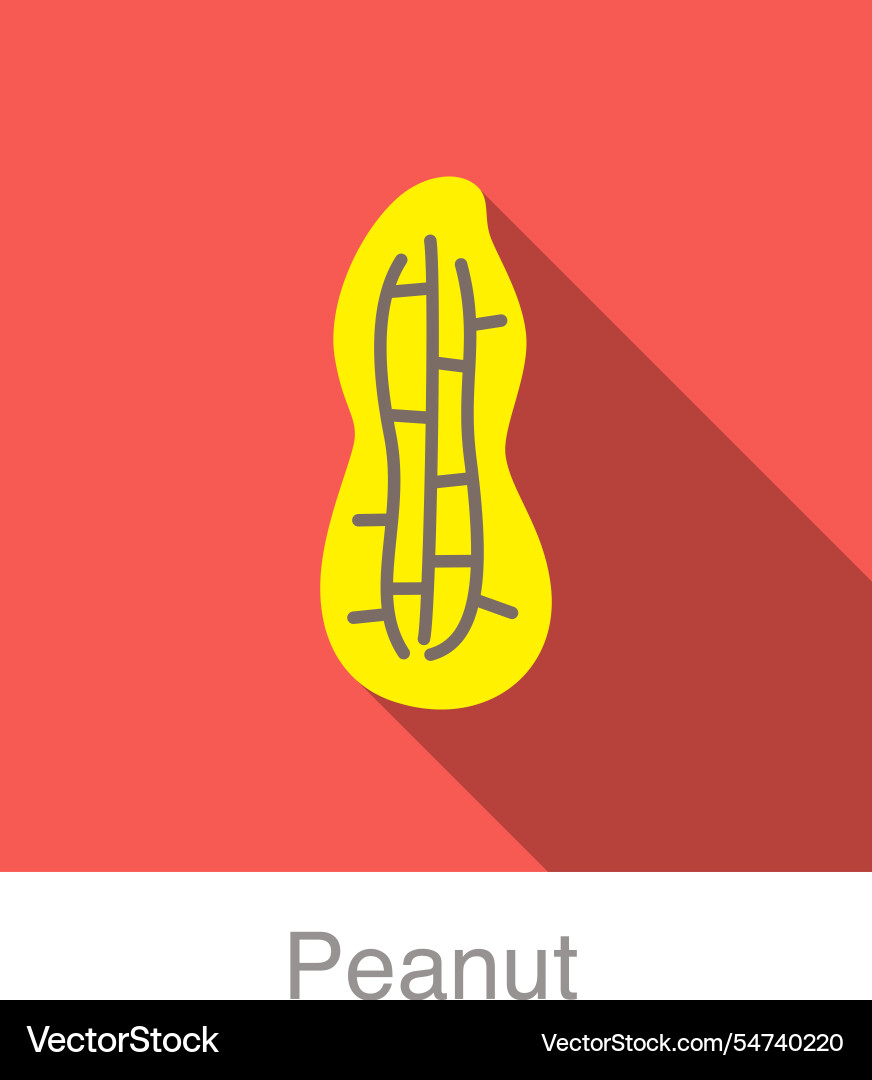 Peanut flat icon Royalty Free Vector Image - VectorStock