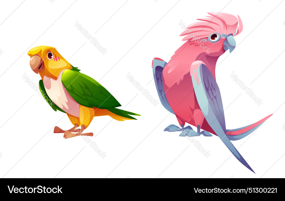 Colorful parrot birds set Royalty Free Vector Image