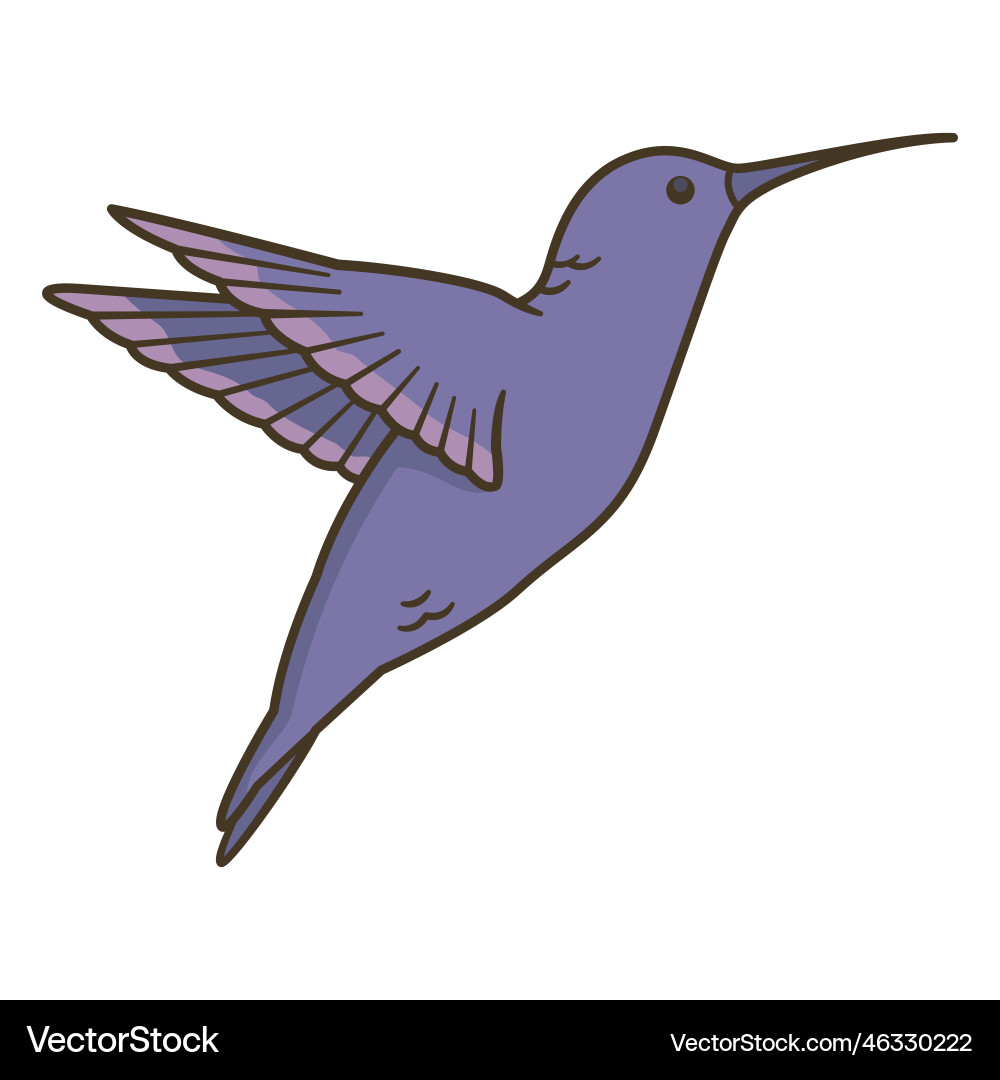 Animal hummingbird Royalty Free Vector Image - VectorStock