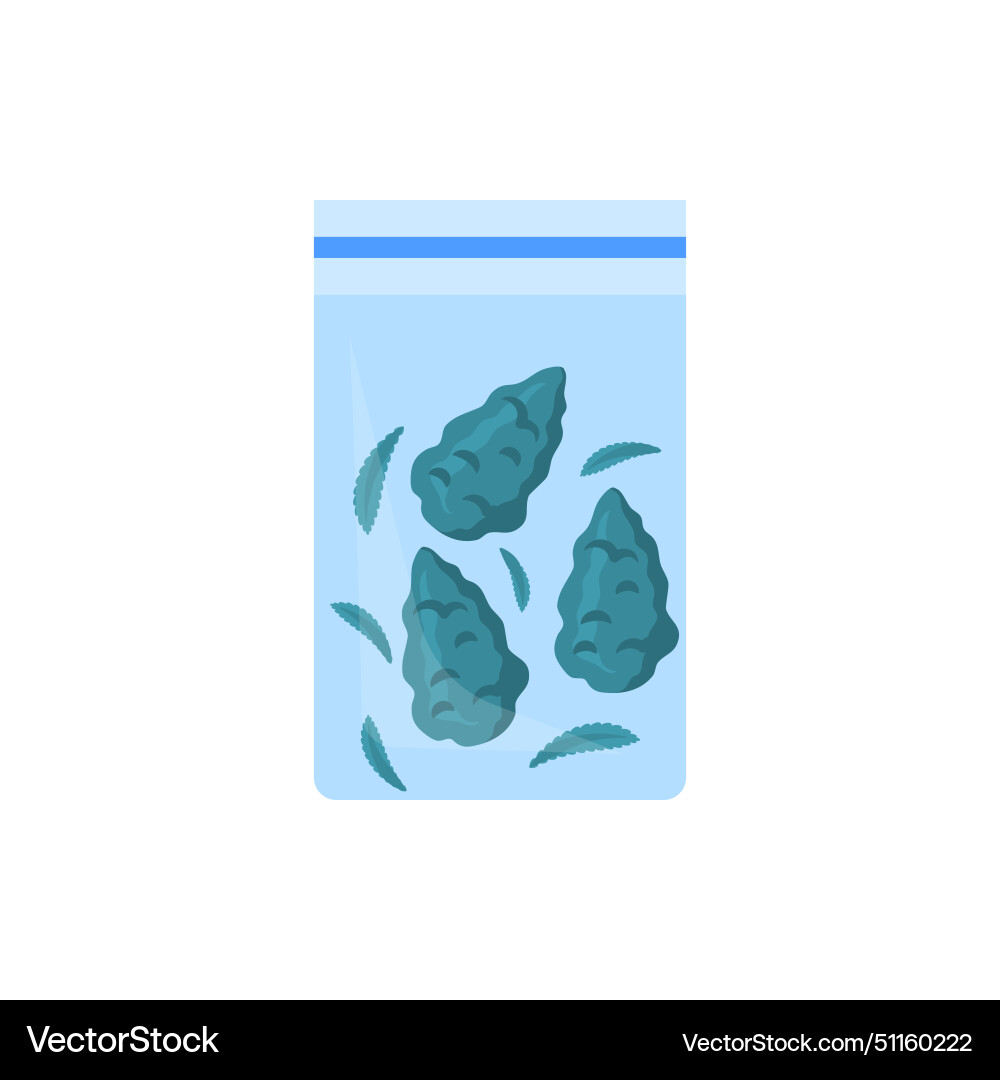 Cartoon color zip locks package with plant Vector Image