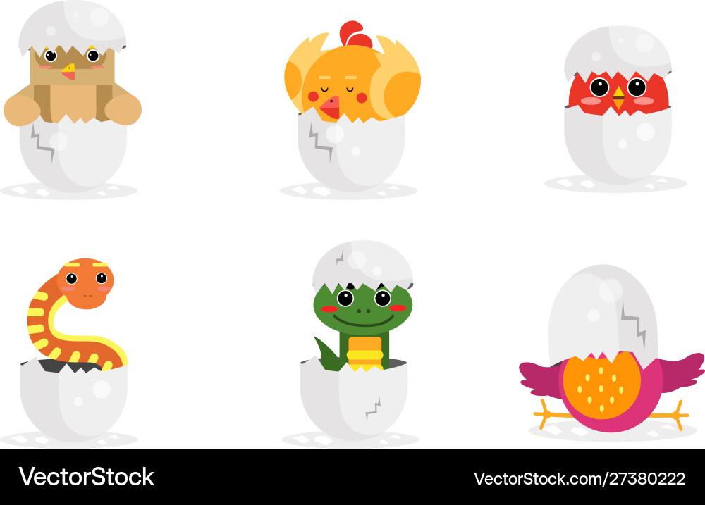 Cute new born animals in eggs Royalty Free Vector Image