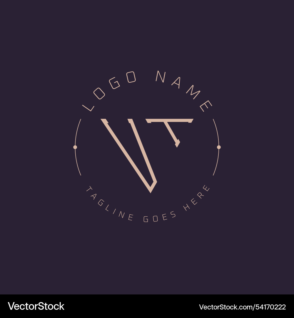 Professional vt logo modern minimal letter Vector Image