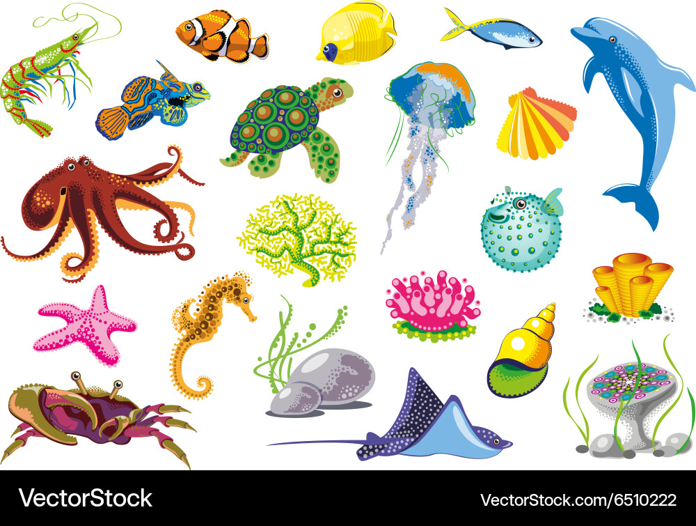 Set of sea animals Royalty Free Vector Image - VectorStock