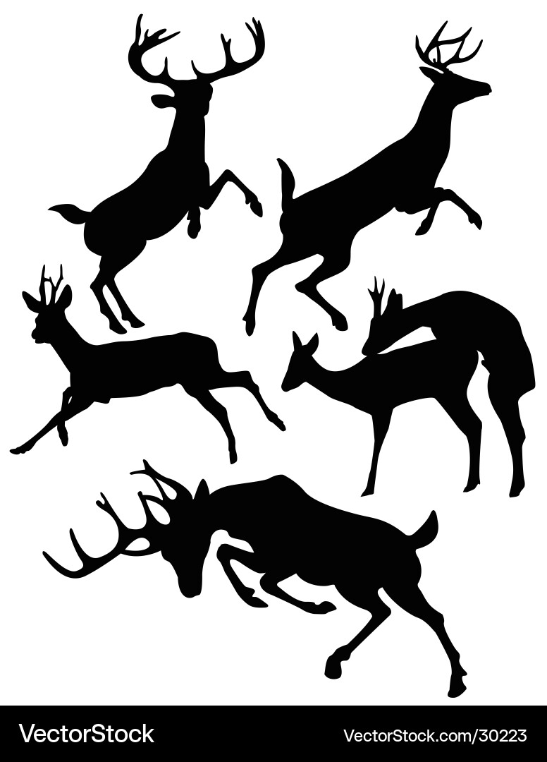 Deer Royalty Free Vector Image - VectorStock