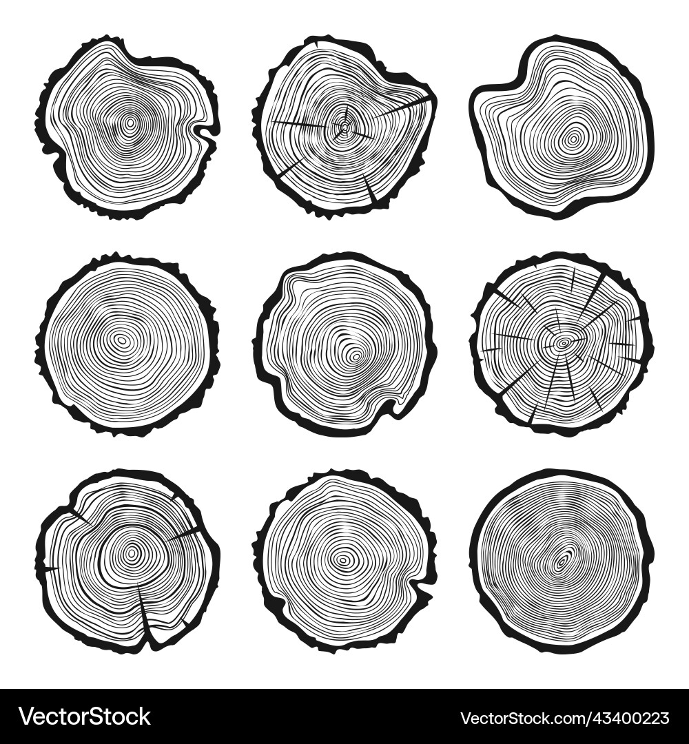 Sawn Timber Vector Images (over 550)